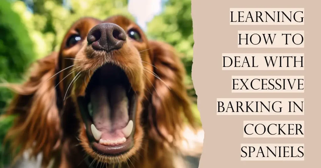 Tackling Cocker Spaniel Barking: Tips and Insights