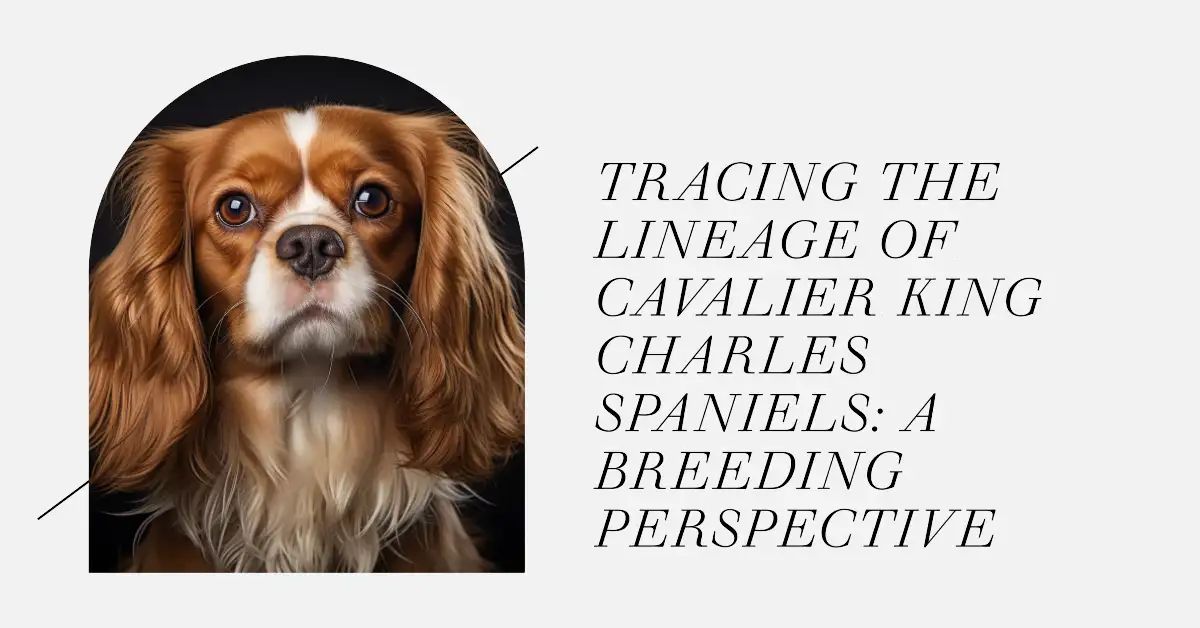 The Truth About Why Cavalier King Charles Spaniels Were Bred