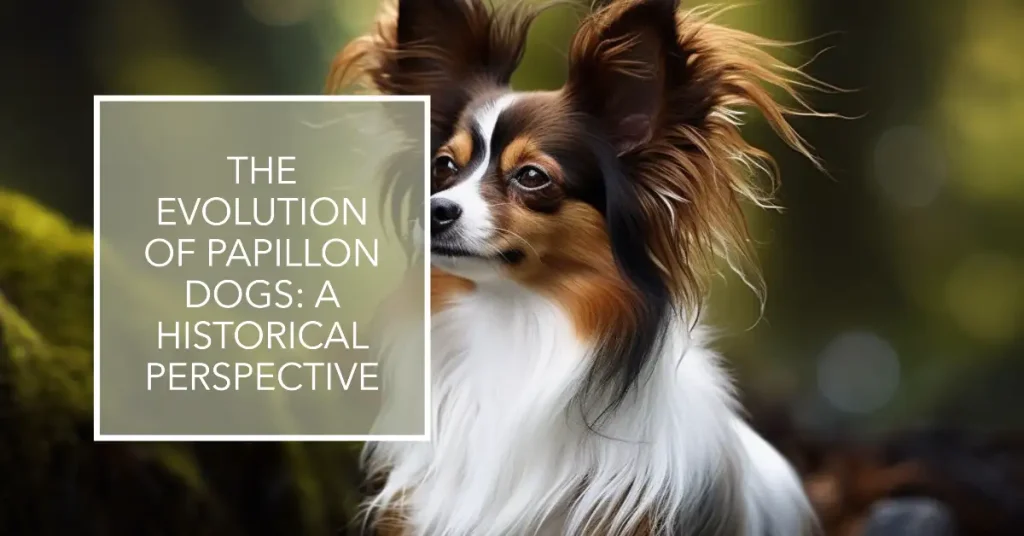 Papillon Dog History