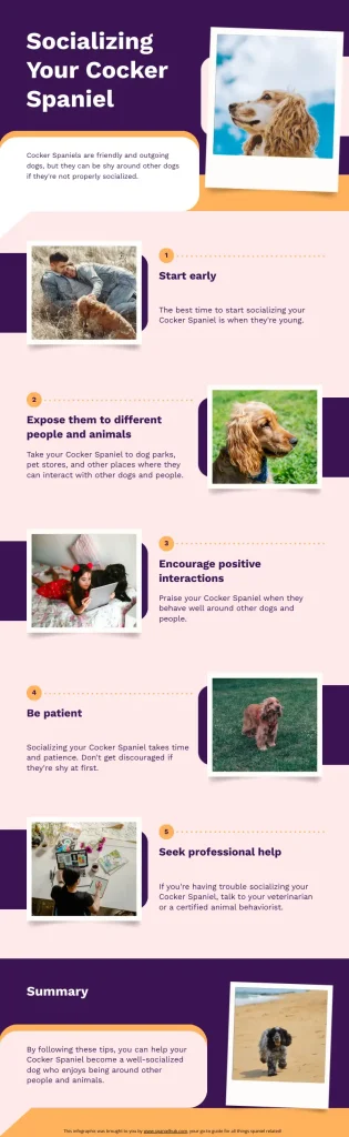 The Truth About Socializing Your Cocker Spaniel with Other Dogs